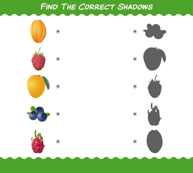 Vibrant Fruit Shadows: A Playful Matching Game | Jiffy Designs