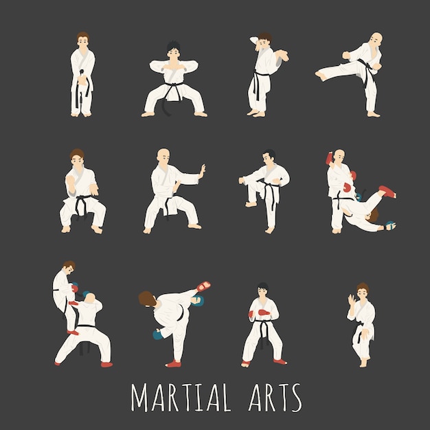 Diverse Martial Arts Poses: A Dynamic Illustration of Discipline and ...