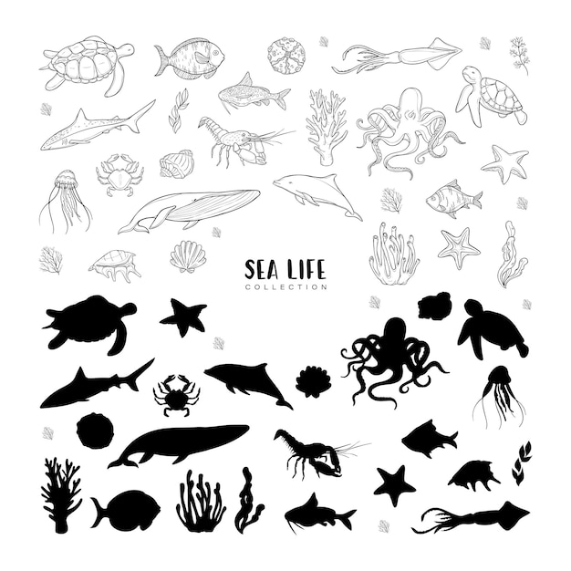Diverse Underwater Creatures and Marine Life Silhouettes | Jiffy Designs