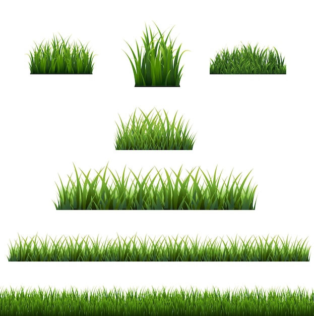 Vibrant Green Grass Patches and Borders for Nature Designs | Jiffy Designs
