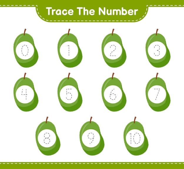 Vibrant Avocado Tracing Collection: Playful Numerals and Shapes | Jiffy ...