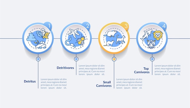 Diverse Marine Life Infographic: Exploring Ocean Ecosystems | Jiffy Designs