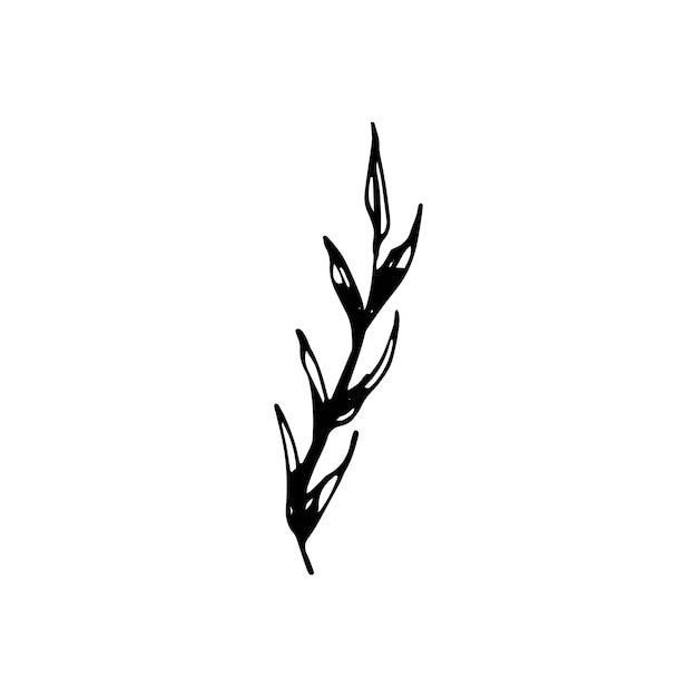 Elegant Minimalist Floral Stem Silhouette | Jiffy Designs