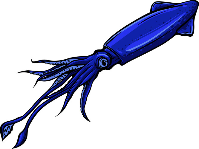 Sea Squid. Cartoon Calamari Animal Character, Aquatic Fauna Creature ...