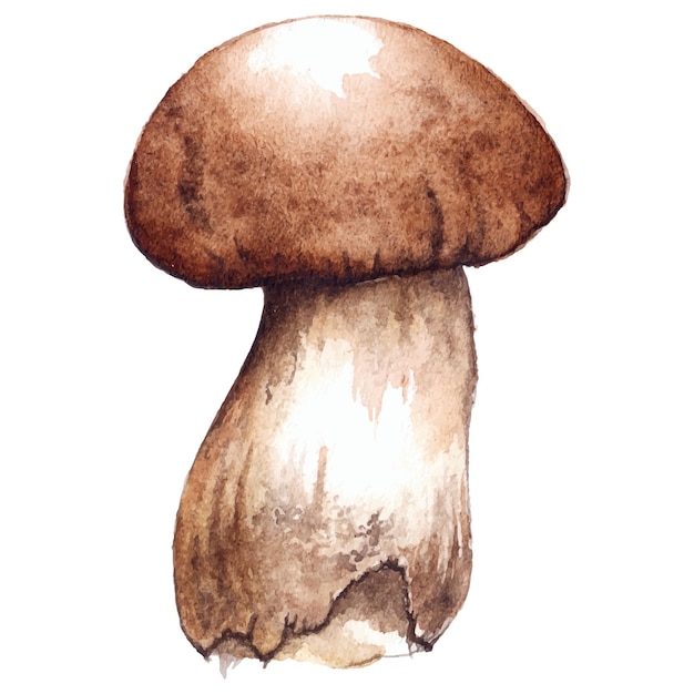 Earthy Mushroom Illustration with Textured Details | Jiffy Designs