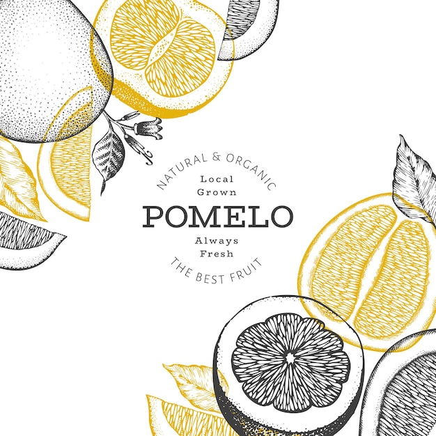 Vibrant Pomelo Citrus Illustration with Detailed Textures | Jiffy Designs