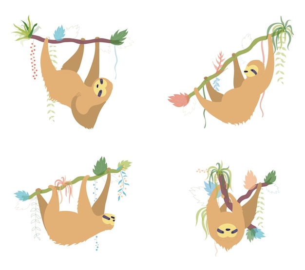 Playful Sloths Hanging in the Lush Jungle Canopy | Jiffy Designs