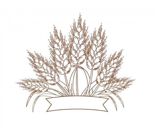 Elegant Wheat Sheaf with Flowing Ribbon Banner | Jiffy Designs