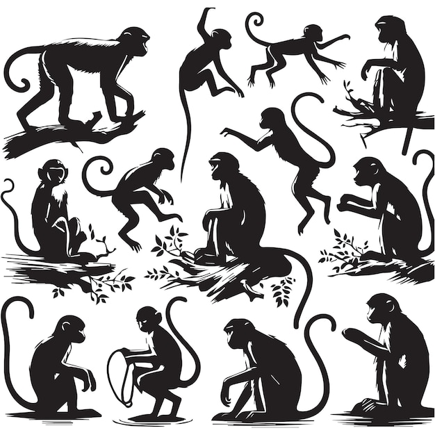 Primal Primate Silhouettes: A Captivating Menagerie of Simian Shadows ...