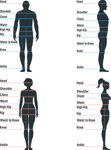 Male And Female Size Chart Anatomy Human Character, People Dummy Front ...