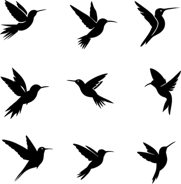 Graceful Hummingbird Silhouettes in Flight, Nature's Aerial Ballet ...