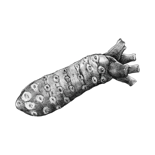 Intricate Pencil Drawing of Detailed Fingerprint on Human Hand | Jiffy ...