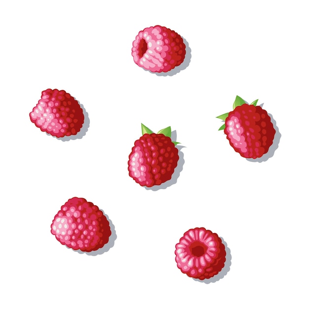 Vibrant Raspberries: A Juicy Fruit Medley on Display | Jiffy Designs