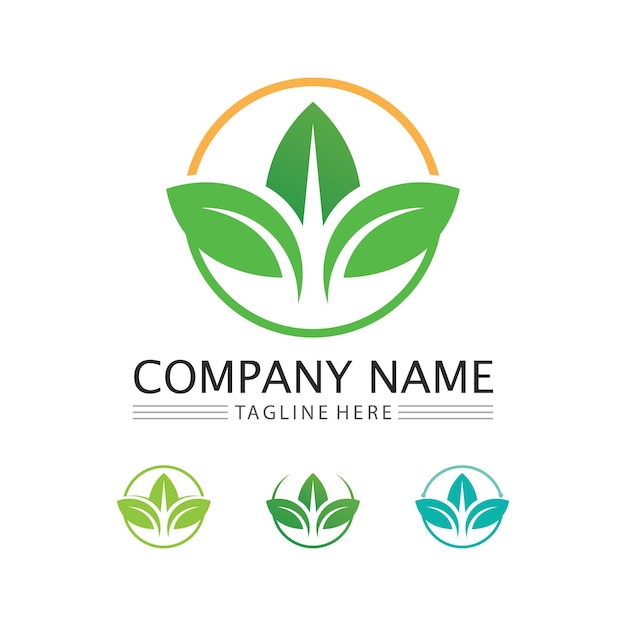 Vibrant Nature-Inspired Logo Collection with Leaf Motifs | Jiffy Designs