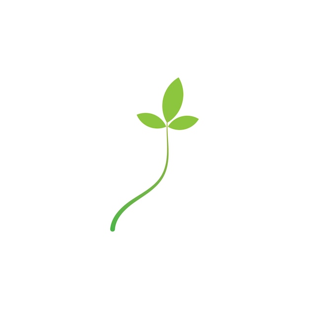 Vibrant Green Sprout with Fresh Leaves | Jiffy Designs