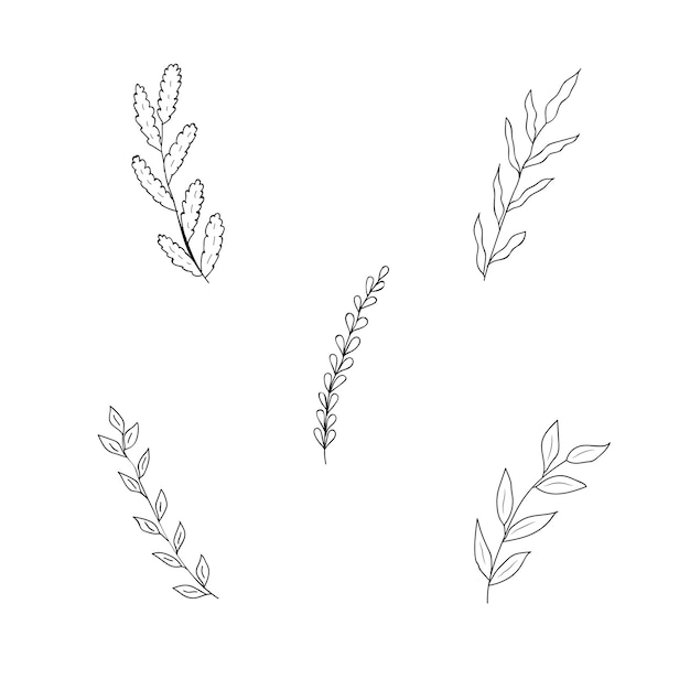 Delicate Hand-Drawn Botanical Leaves Collection in Minimalist Style ...