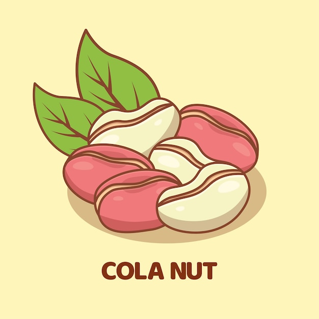 Vibrant Illustration of Delicious Cola Nut with Leaves | Jiffy Designs