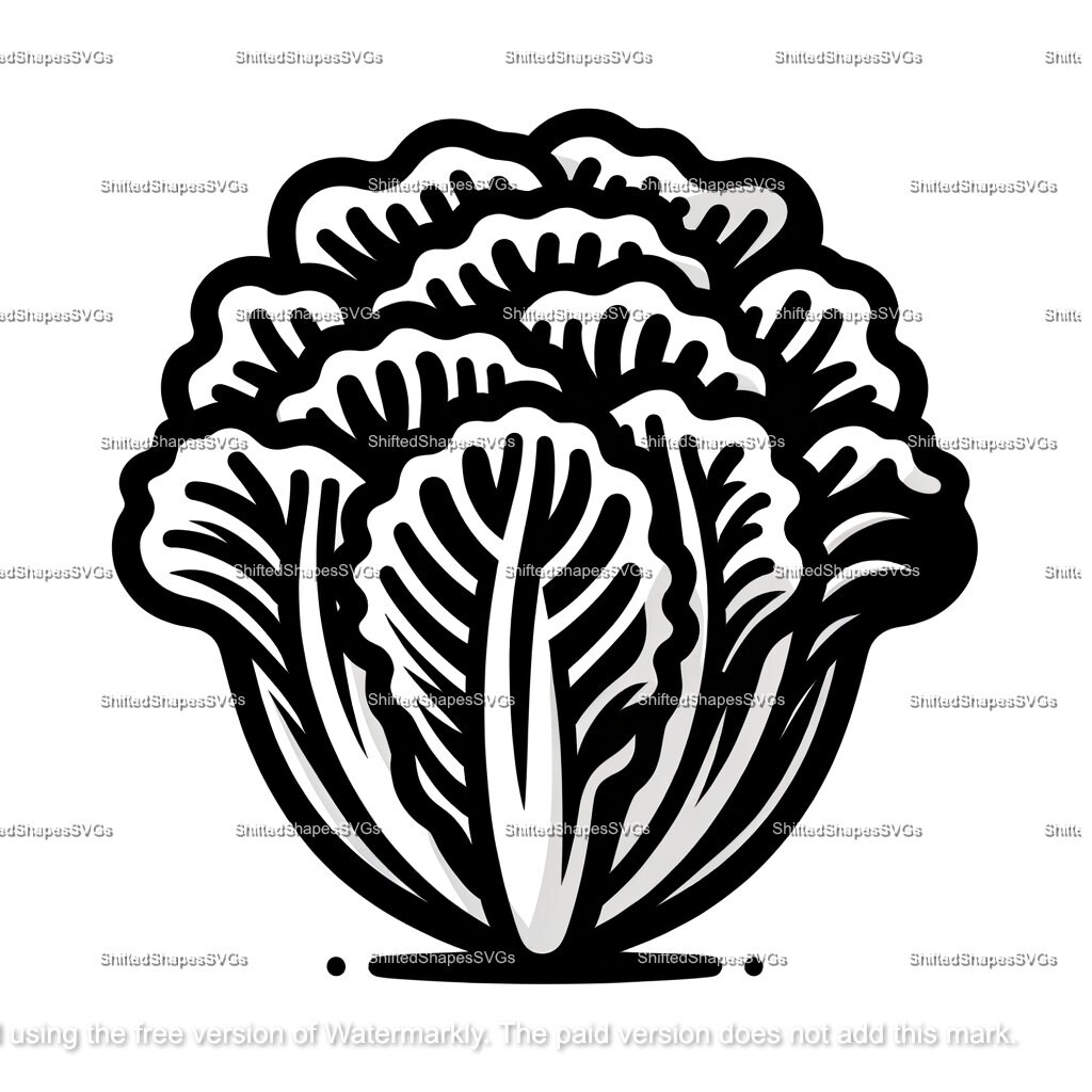 Lettuce SVG bundle | Jiffy Designs