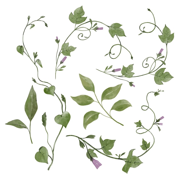 Vibrant Botanical Vines and Leaves | Jiffy Designs