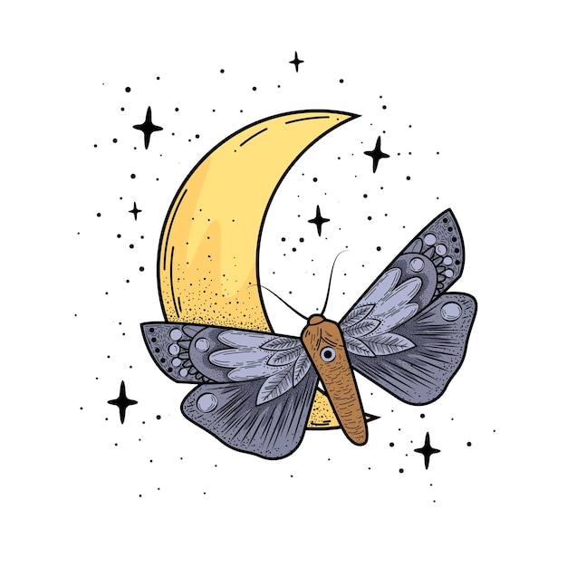 Whimsical Moth Resting on Crescent Moon in Starry Night Sky | Jiffy Designs