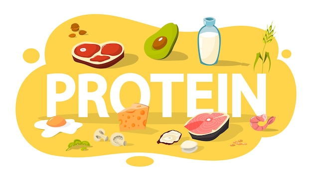 Vibrant Protein-Rich Foods Illustration | Jiffy Designs