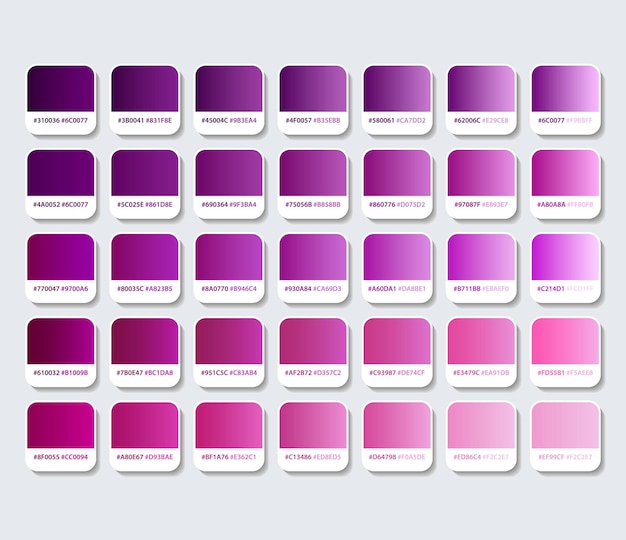 Vibrant Shades of Purple and Pink Color Palette | Jiffy Designs