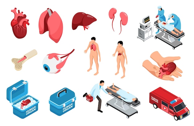 Comprehensive Medical Illustrations Depicting Anatomy and Healthcare ...