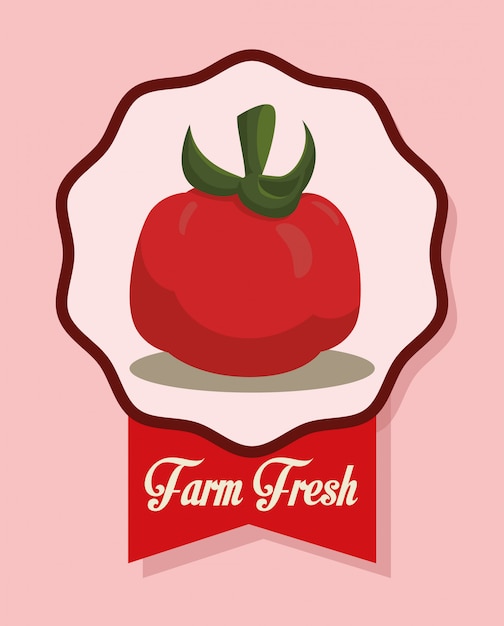Farm Fresh Tomato Badge Illustration with Banner | Jiffy Designs