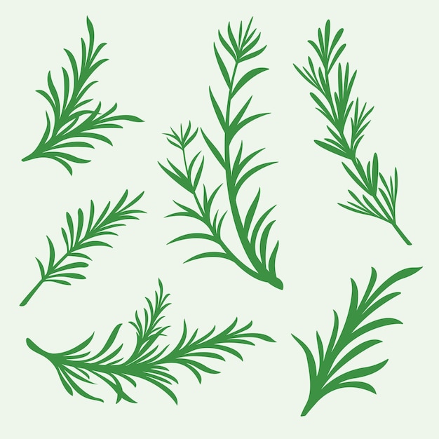Lush Green Herb Sprigs with Delicate Foliage Patterns | Jiffy Designs