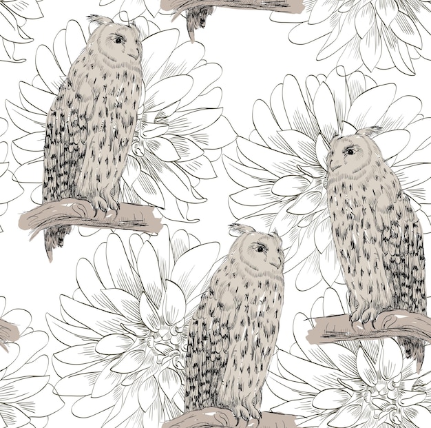 Delightful Daisy Owls: A Whimsical Collection of Avian Illustrations ...