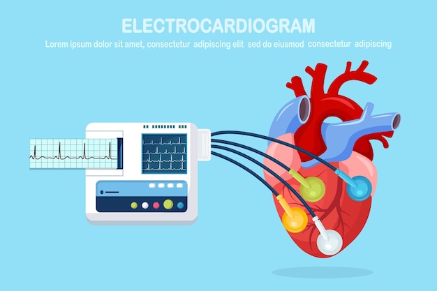 Vibrant Cardiac Rhythm: Electrocardiogram Monitoring Heartbeat | Jiffy ...