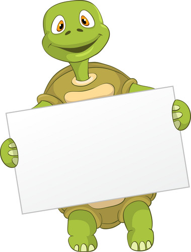 Funny Turtle | Jiffy Designs