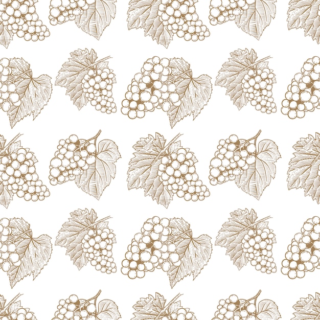 Elegant Grape Cluster Illustration in Neutral Tones | Jiffy Designs