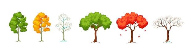 Vibrant Tree Illustrations Depicting Seasonal Transformations | Jiffy ...