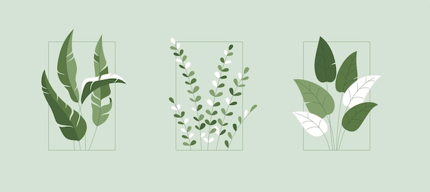 Minimalist Green Leaves Illustrations in Frames Collection | Jiffy Designs