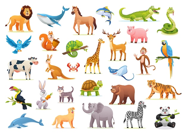 Vibrant Collection of Cartoon Animal Illustrations | Jiffy Designs