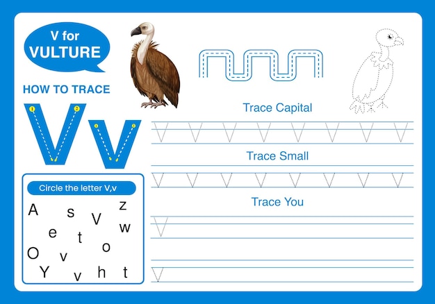 Tracing the Majestic Vulture: A Playful Alphabet Exercise | Jiffy Designs