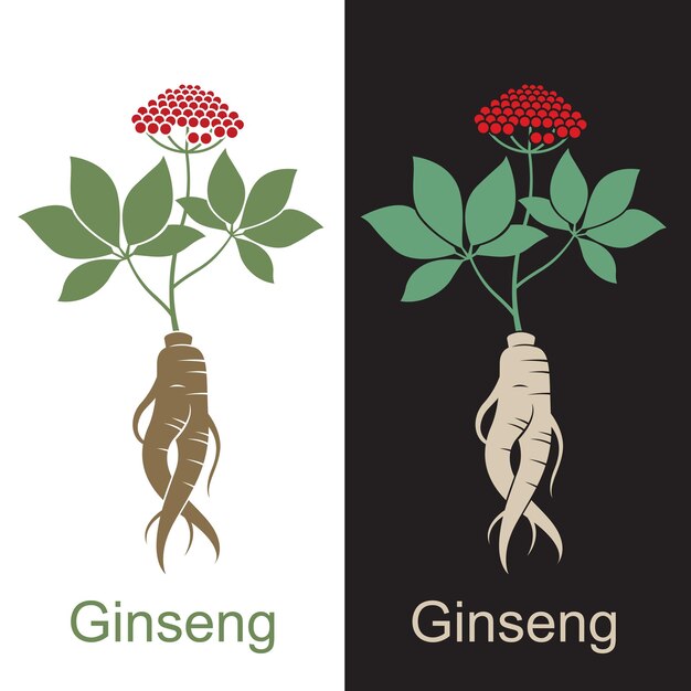 Vibrant Ginseng Illustrations with Earthy Tones and Botanical Elements ...