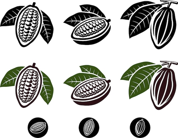 Diverse Collection of Stylized Cocoa Bean Illustrations | Jiffy Designs