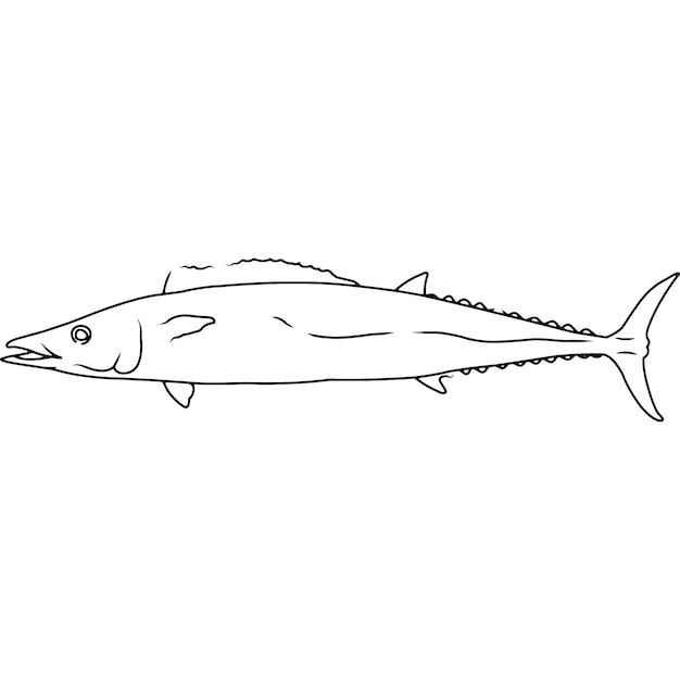 Sleek and Streamlined Tuna Fish Outline | Jiffy Designs