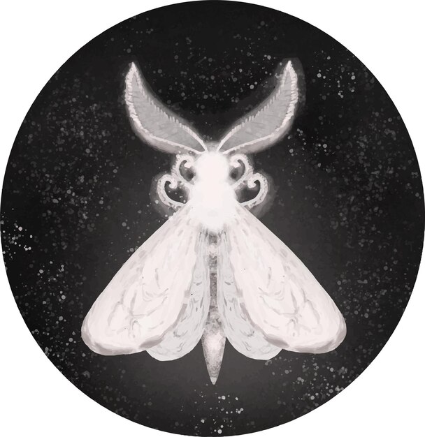 Ethereal Moth Silhouette Against Starry Night Sky | Jiffy Designs