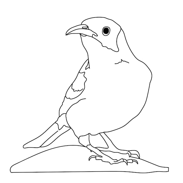 Elegant Outline Sketch of a Perched Bird | Jiffy Designs