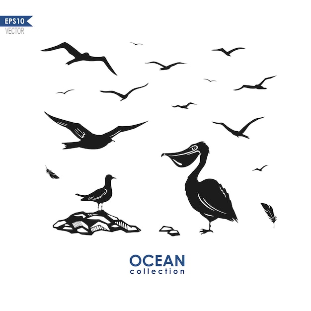 Elegant Silhouettes of Seabirds Soaring Over the Ocean | Jiffy Designs