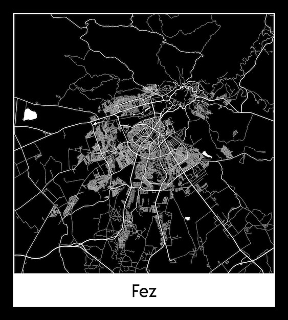 Intricate Map of Fez's Winding Streets and Urban Layout | Jiffy Designs