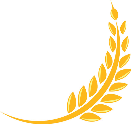 Agriculture Wheat Logo Design Vector Template Icon Isolated | Jiffy Designs