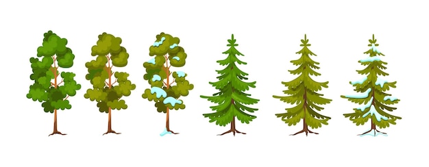 Vibrant Trees Collection: Deciduous and Evergreen Woodland ...