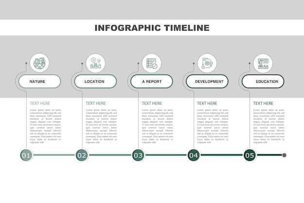 Informative Infographic Timeline with Detailed Icons | Jiffy Designs
