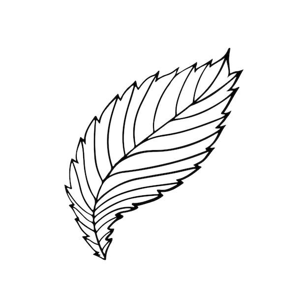Captivating Leaf-Inspired Graphic Design Element | Jiffy Designs
