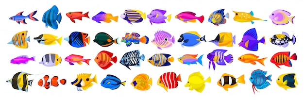 Vibrant Tropical Fish Silhouettes in Diverse Hues and Patterns | Jiffy ...