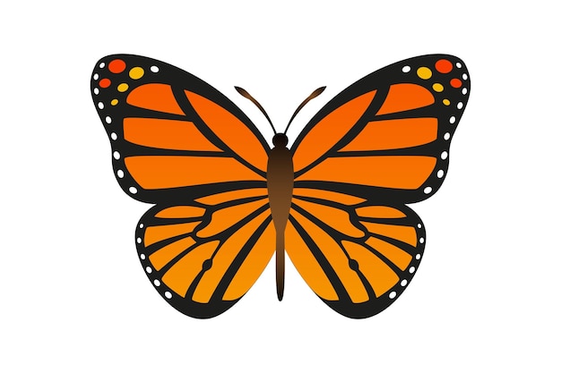 Vibrant Monarch Butterfly in Flight | Jiffy Designs